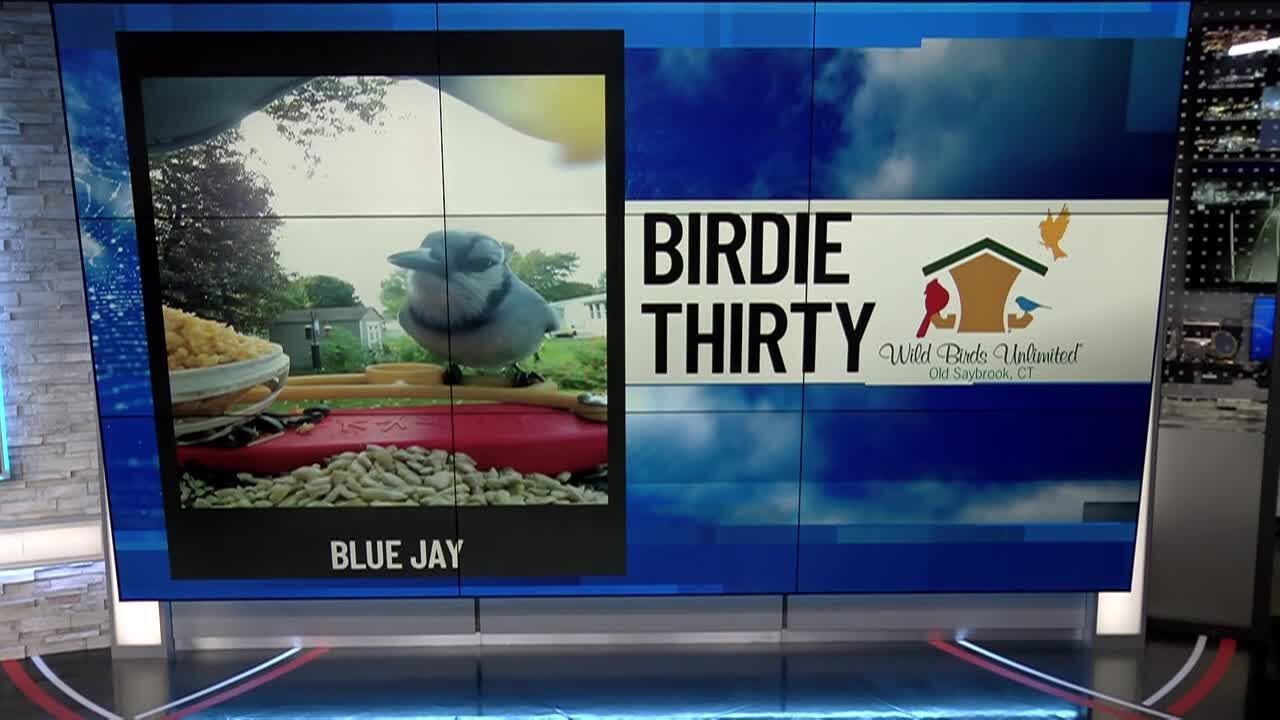 Birdie Thirty: Sunday, 10/20/24 at 5:30AM - YouTube