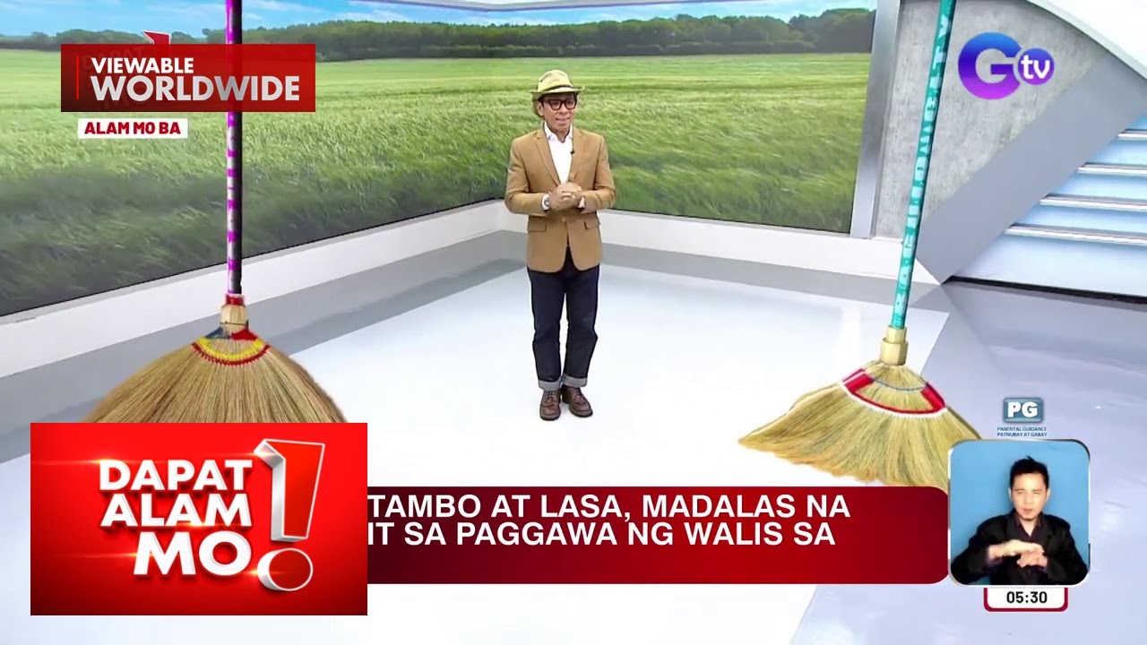 Damong tambo at lasa, ginagamit sa paggawa ng walis | Dapat Alam Mo ...