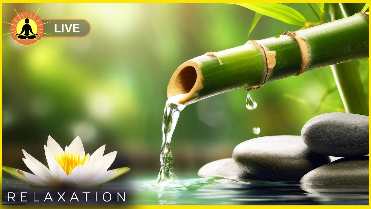 🔴 Relaxing Zen Music 24 7 Stress Relief Music Sleep Music Meditation