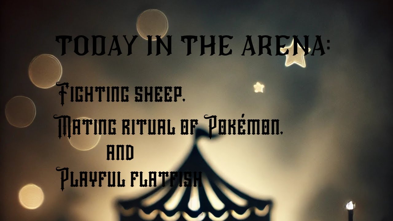 Today in the arena: fighting sheep, active Pokémon, and playful ...