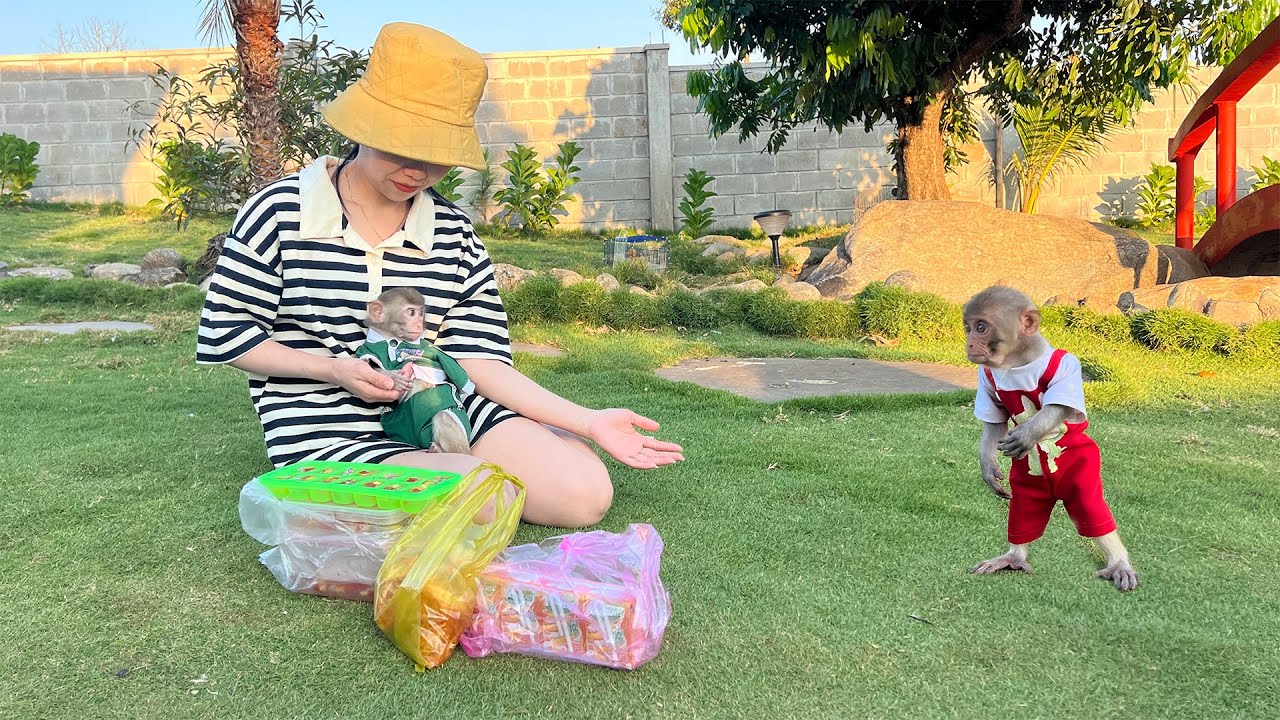 Mom cooks fruit and vegetable jelly for YinYin to visit monkey YiYi ...