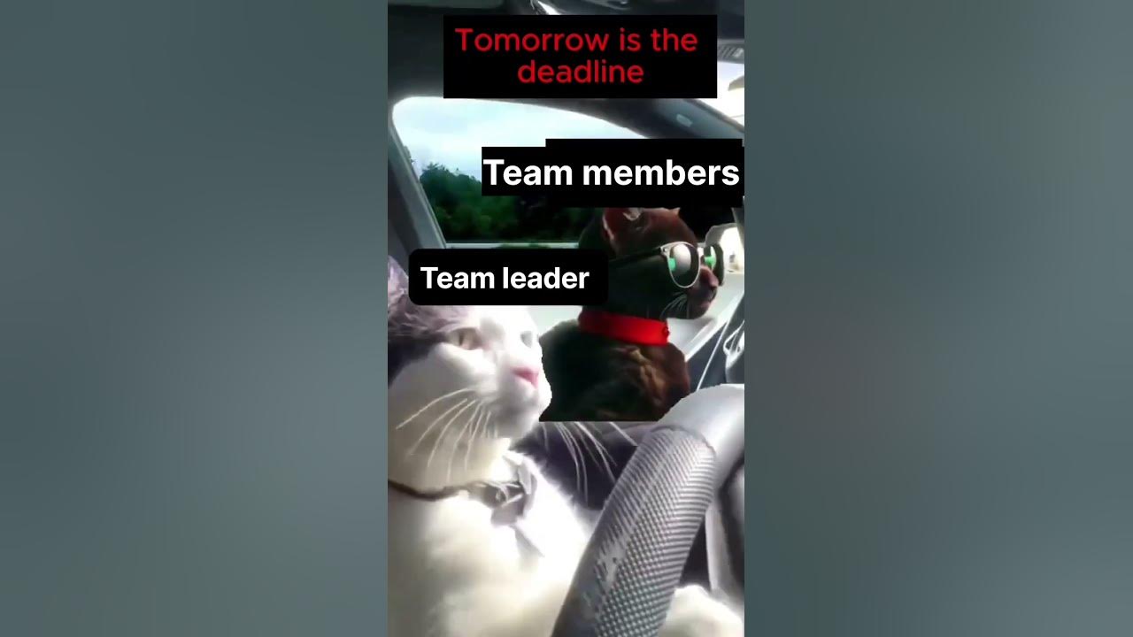 Deadline Programmers Life Programmer Coding Codelife Programmerslife Coding Coderlife