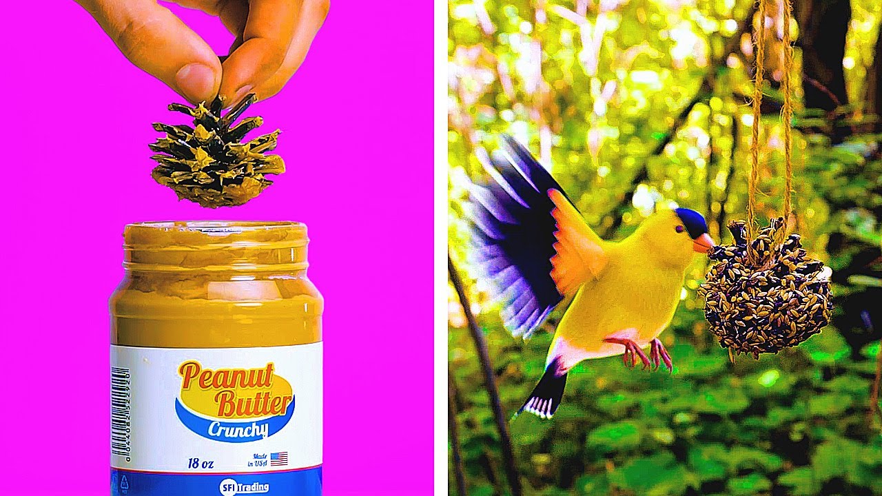 15 COOL AND EASY CRAFTS FROM NATURAL MATERIALS || 5-Minute Backyard ...