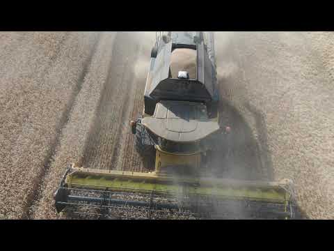 ZLS05 21 07 2 - YouTube