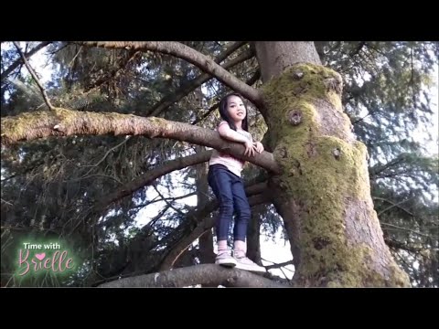 Brielle Tree Climbing Part01 - YouTube