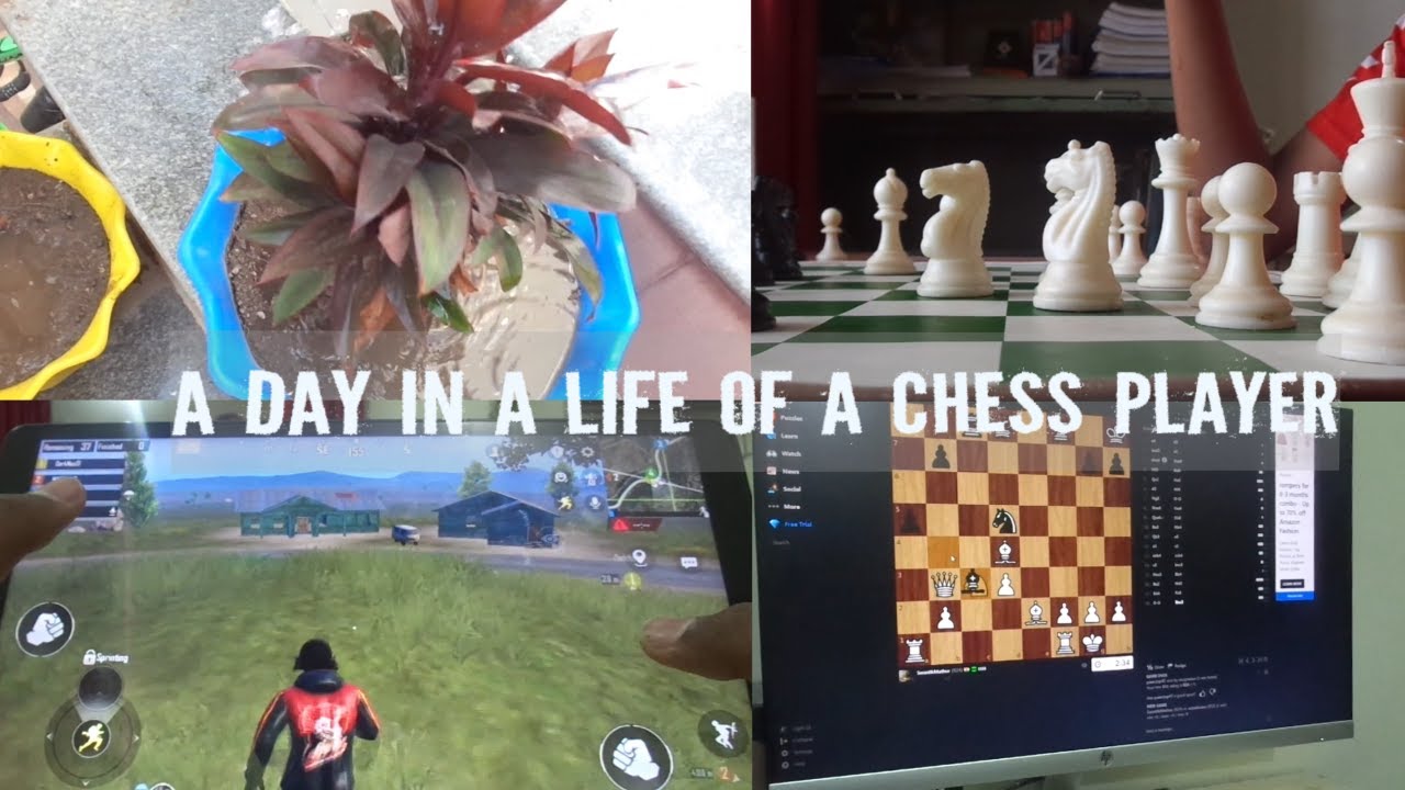 A Day In The Life Of A Chess Player. | Chess Comeback Journey #Vlog1 ...