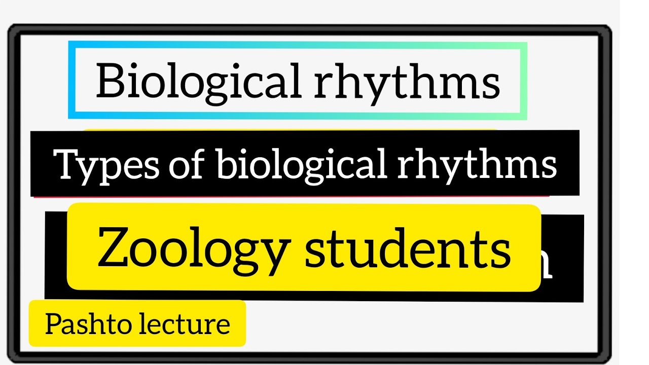 biological rhythms details| types of biological rhythms| advance ...