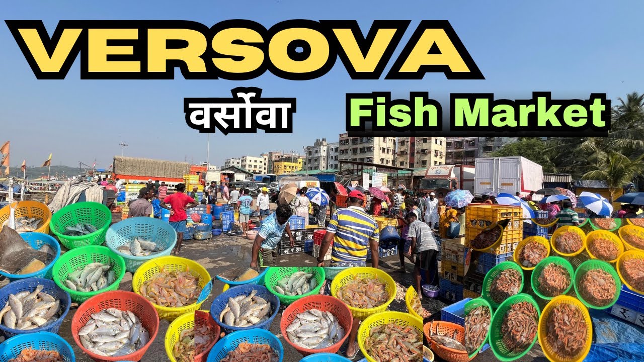 Versova fish market 🐟 | verosva wholesale fish market | वर्सोवा मच्छी ...