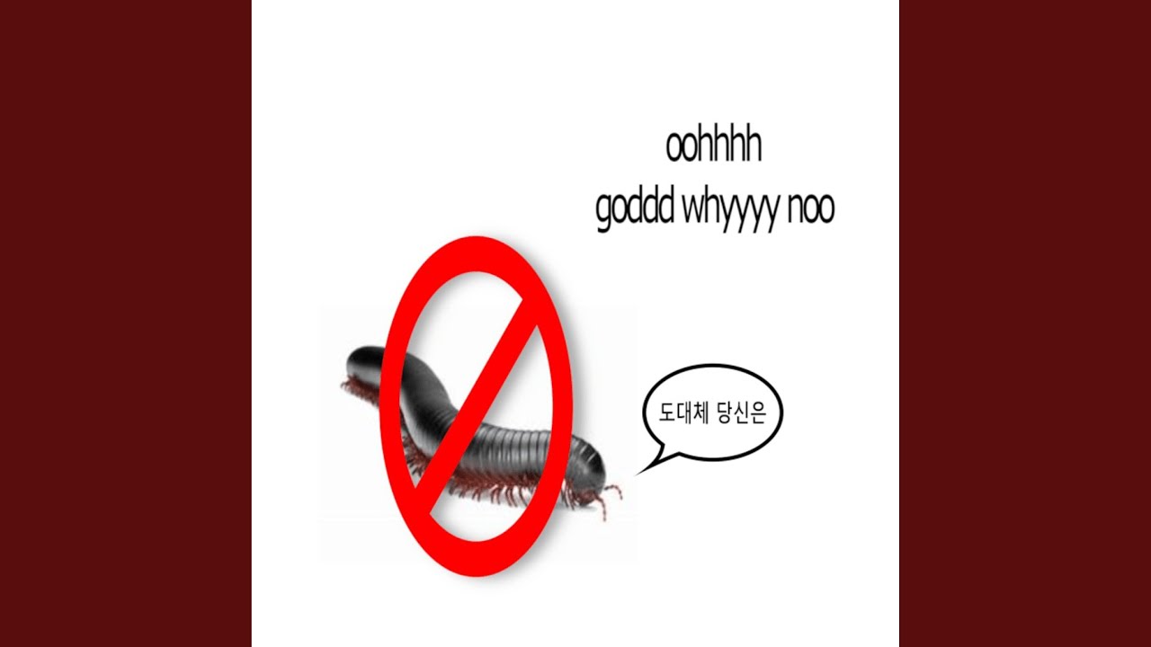 i hate bugs - YouTube