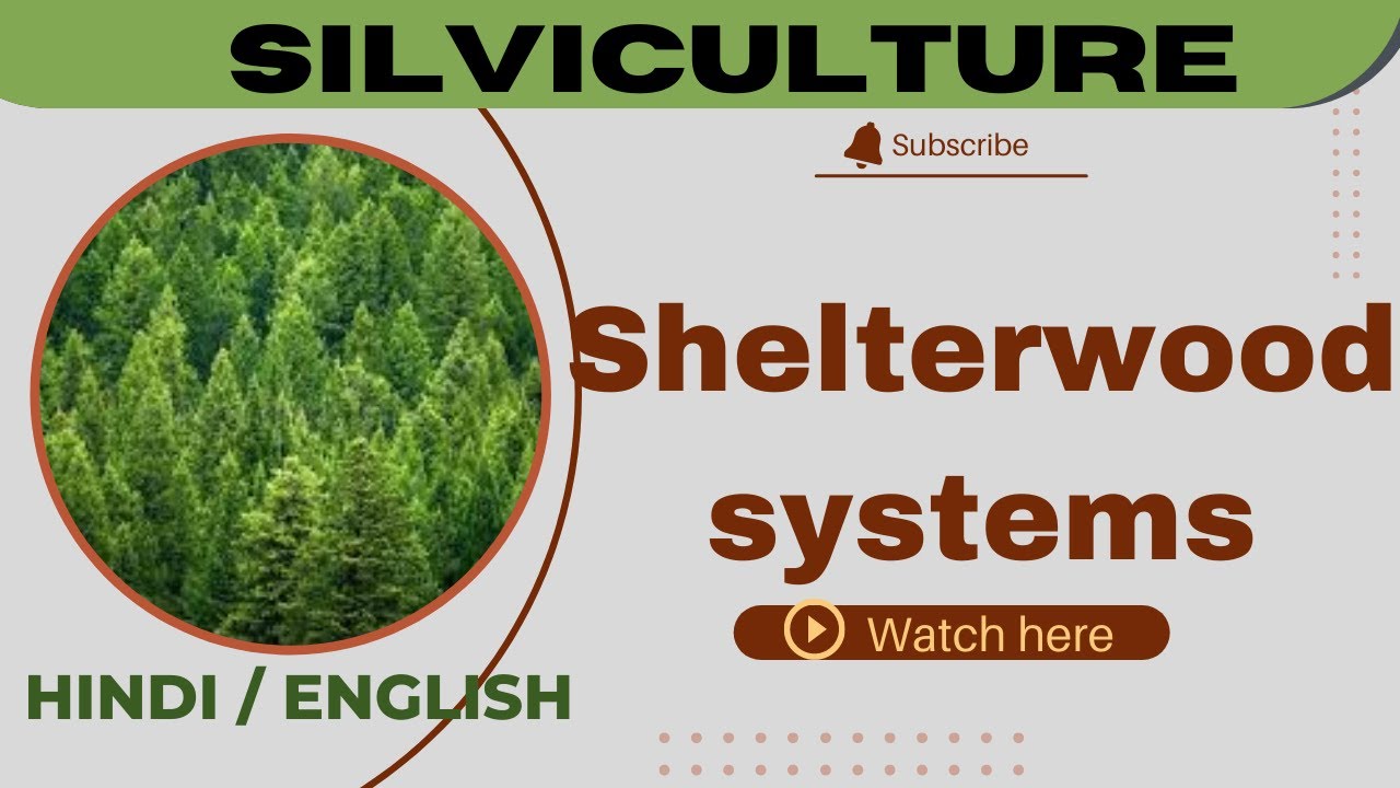 Shelterwood system || silviculture@scoringscience4120 - YouTube