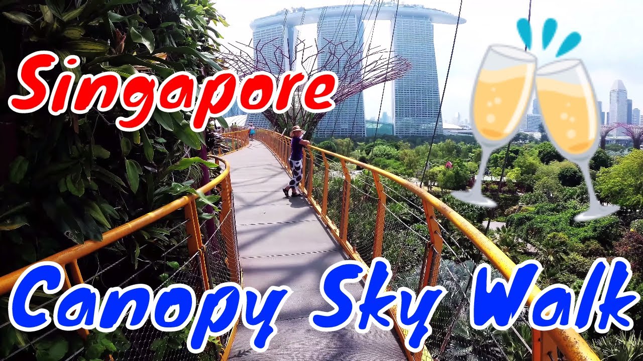 Canopy Sky Walk: Super Tree Grove, Singapore 2018 - YouTube