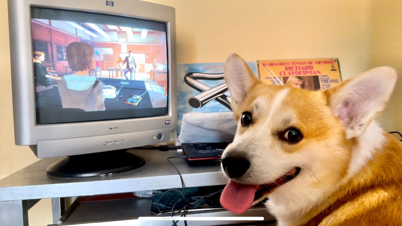 Life is Strange CRT Gameplay 📺 - YouTube