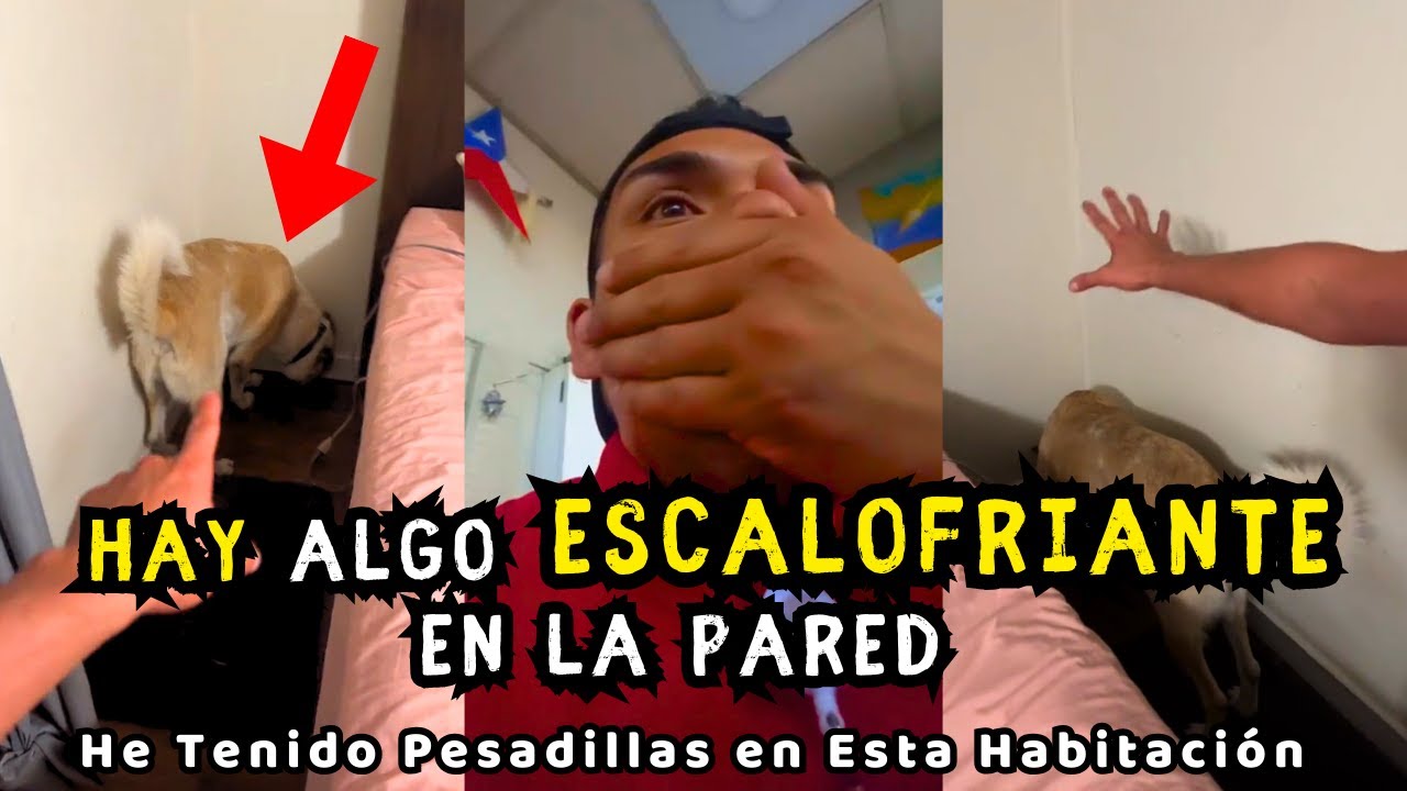Descubrí Algo Inquietante Detrás de la Pared y Me Quedé Helado - YouTube
