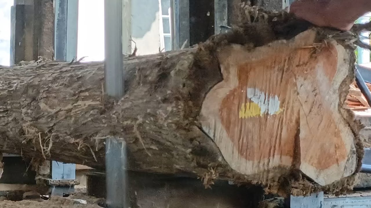 The sound of sawing machines at the teak sawmill - YouTube