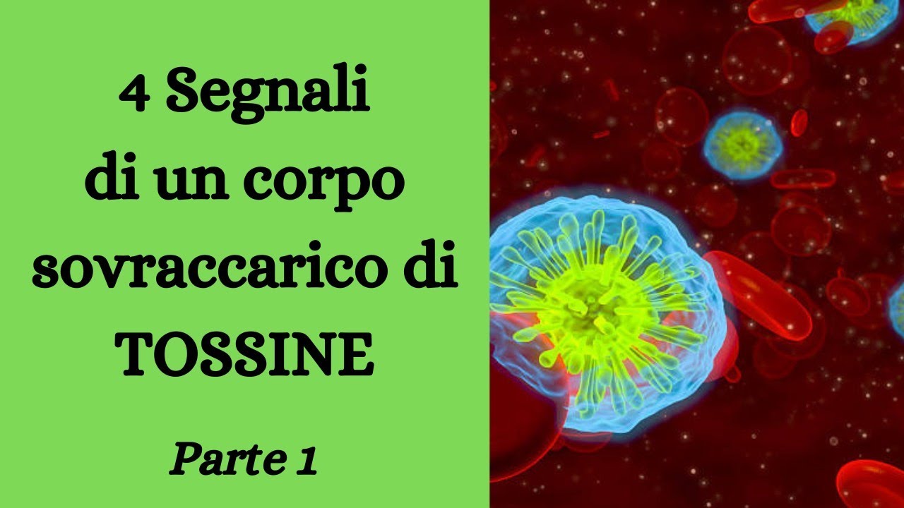 4 Segnali di un corpo sovraccarico di Tossine Parte 1 - YouTube