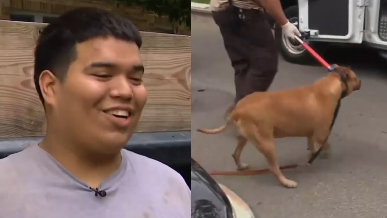 Pit bull somehow got loose from its leash and attacked a woman and a ...