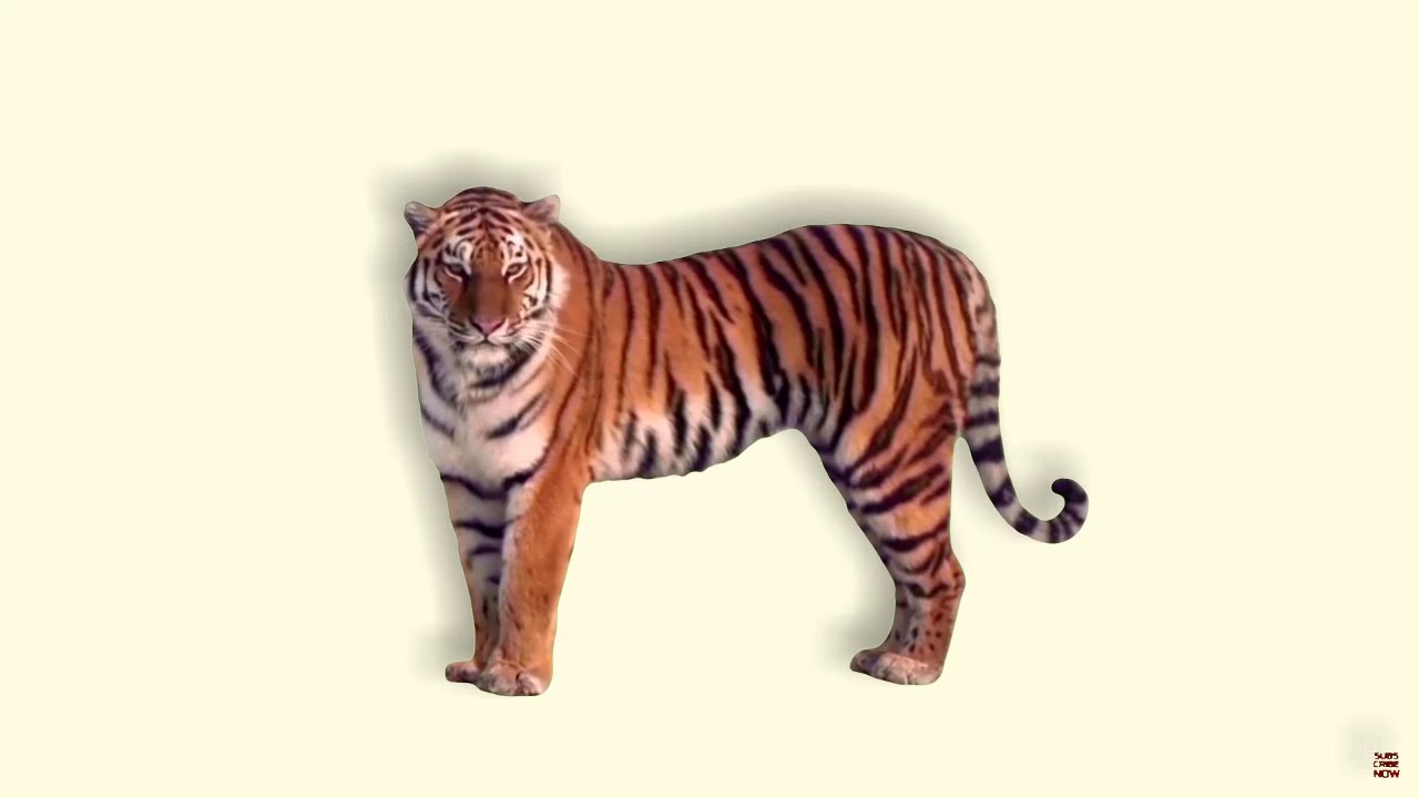 [OBS] obs-shaderfilter versatile dropshadow blur shader download - YouTube