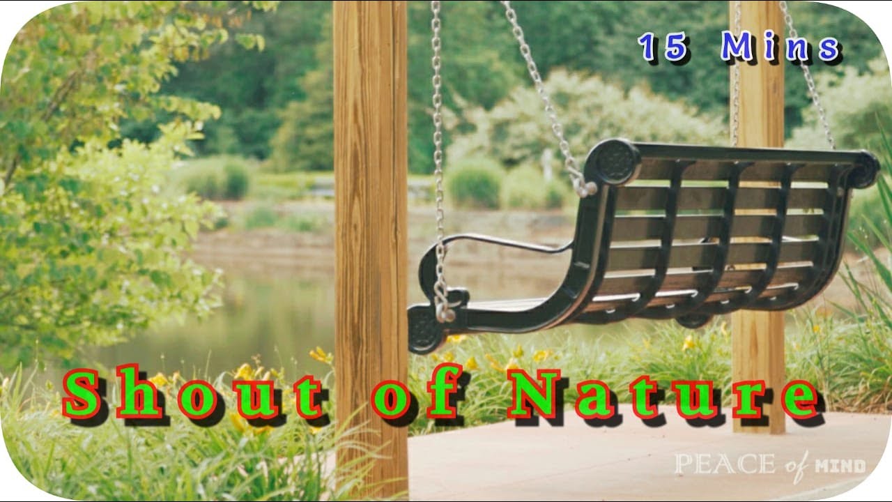 15 Minutes Shout of Nature | PEACE of Mind - YouTube