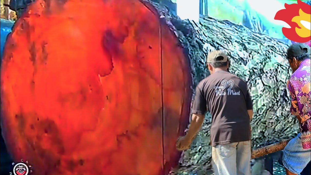 Sawing Mahogany Wood with a Bid of One Billion || Sawmill - YouTube