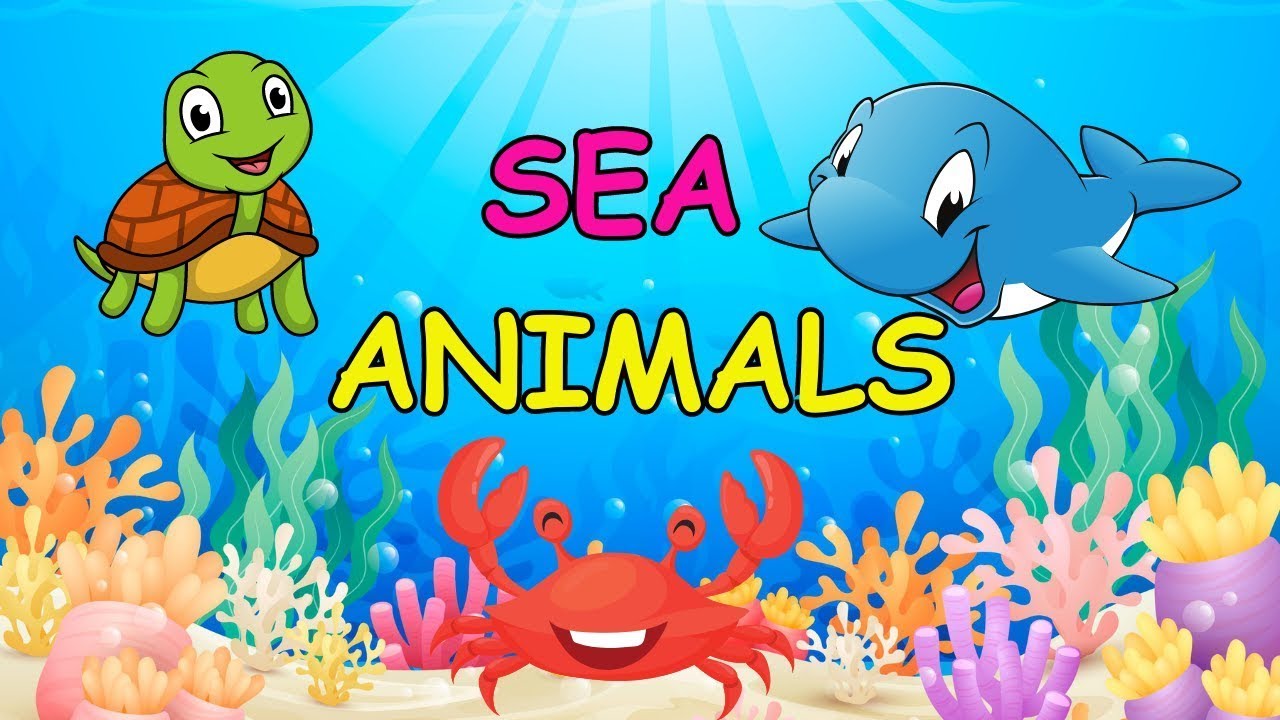 Kids vocabulary - Sea Animals - Learn English for kids - English ...