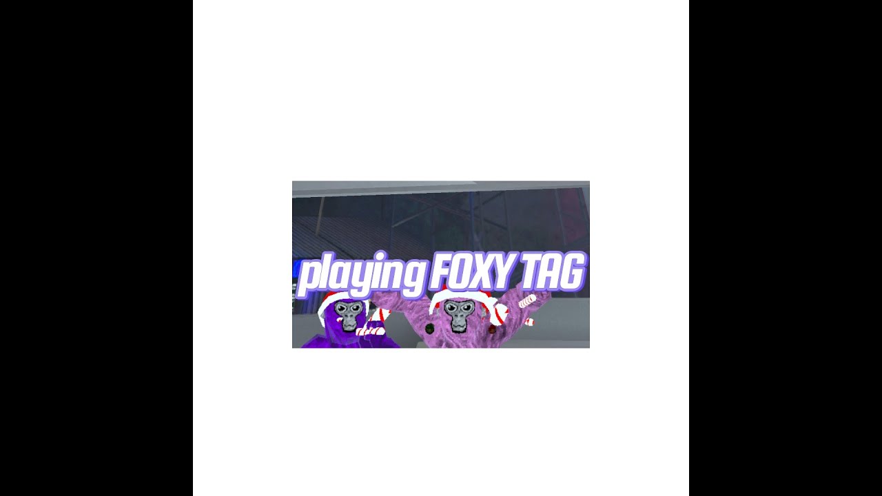 playing the best tag copy ever FOXY TAG - YouTube