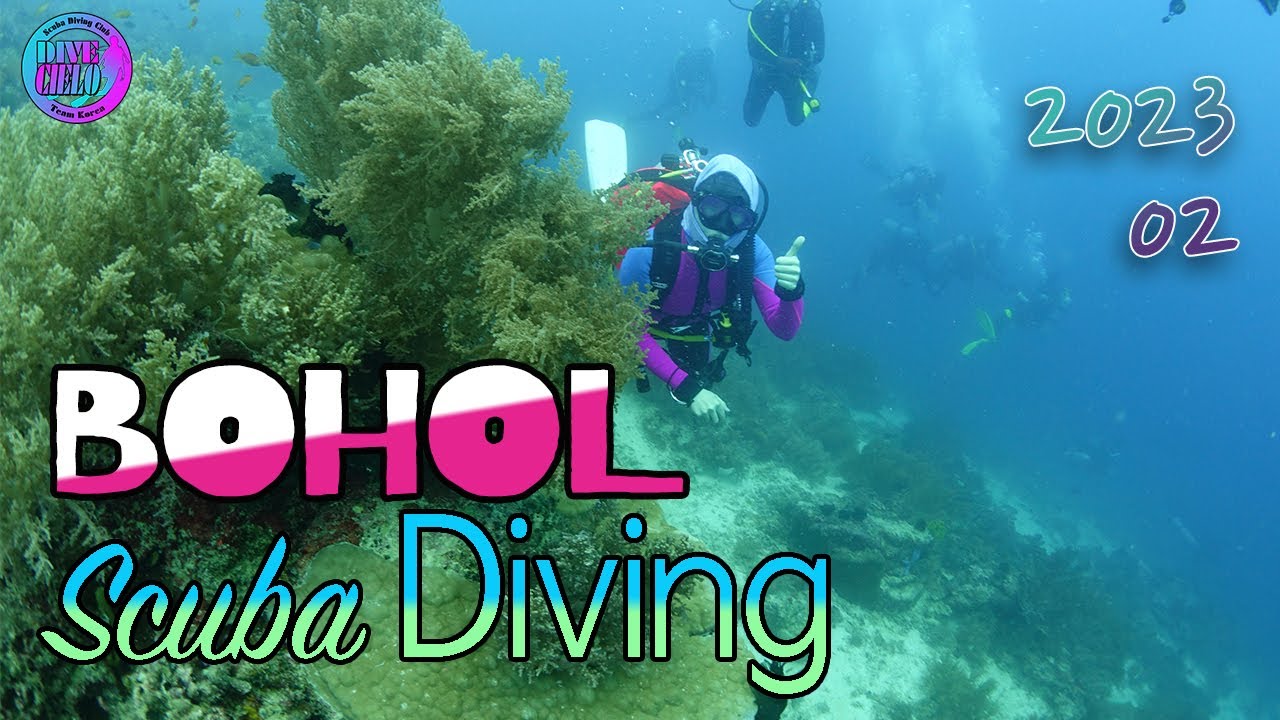 2023 2월 BOHOL Diving EP 04 /cielodive/scubadiving/travel/balicasag ...