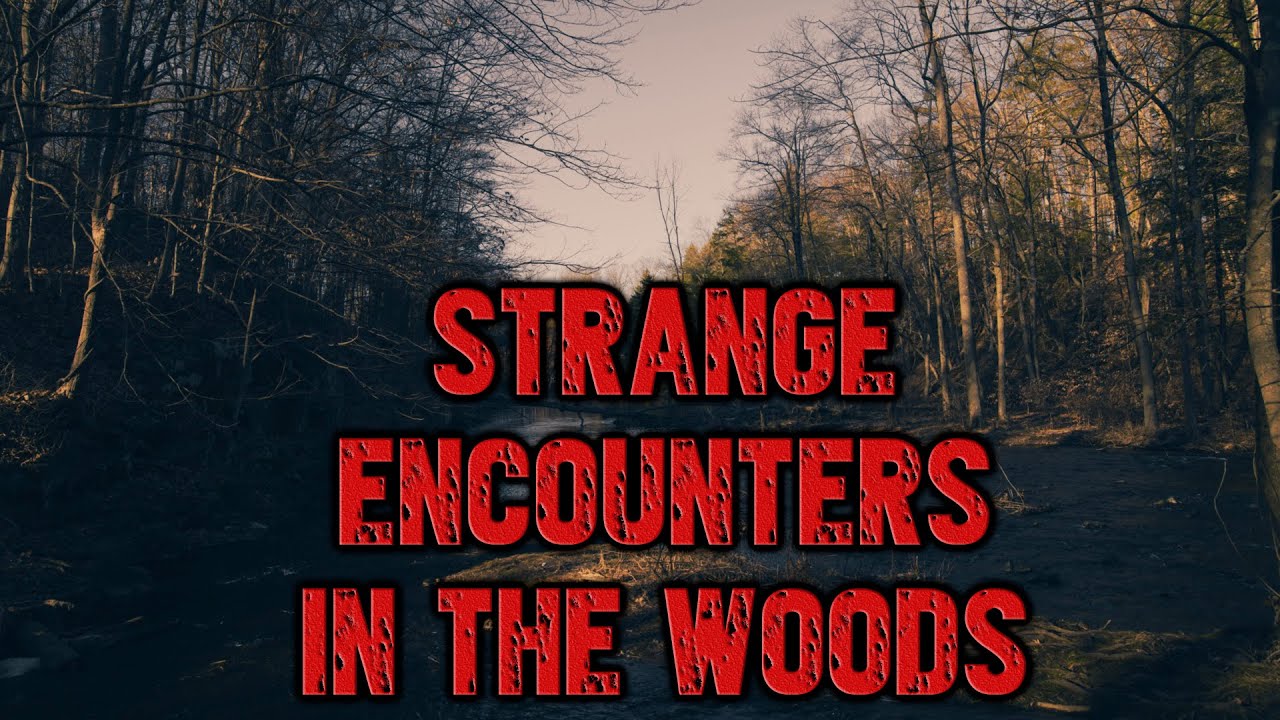 15 Strange Encounters in the Woods - YouTube