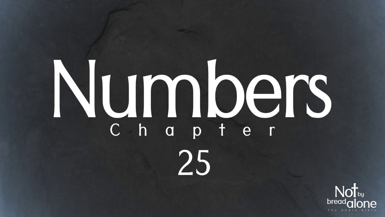 Numbers Chapter 25 - YouTube