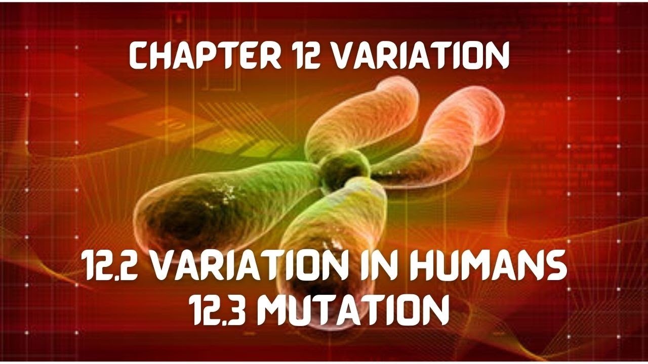 BIOLOGY FORM 5 KSSM : CHAPTER 12 VARIATION (SUBTOPIC 12.2 & 12.3) - YouTube