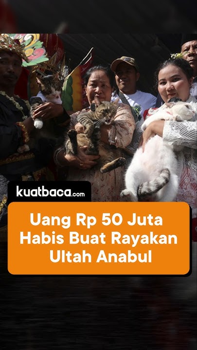UANG RP 50 JUTA HABIS BUAT RAYAIN ULTAH KUCING #kucing #anabul #cat #birthdayparty #ulangtahun ...