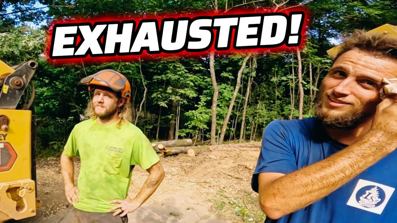 Removing 38 Trees! Boss Man Is Spending Too Much Money | CAT 299D3 × ...