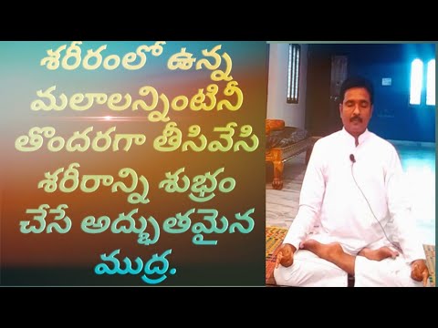 Suchi mudra for constipation//Yoga mudras//gyana yoga peetam - YouTube