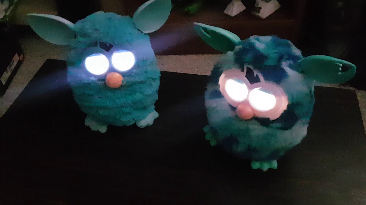 MI PERRO JUGANDO CON 2 FURBYS | MY DOG PLAYING WITH TWO FURBYS - YouTube