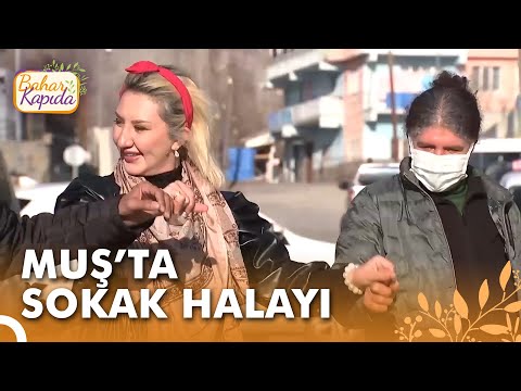 Kendimizi Tutamadık Girdik Halaya | Bahar Kapıda