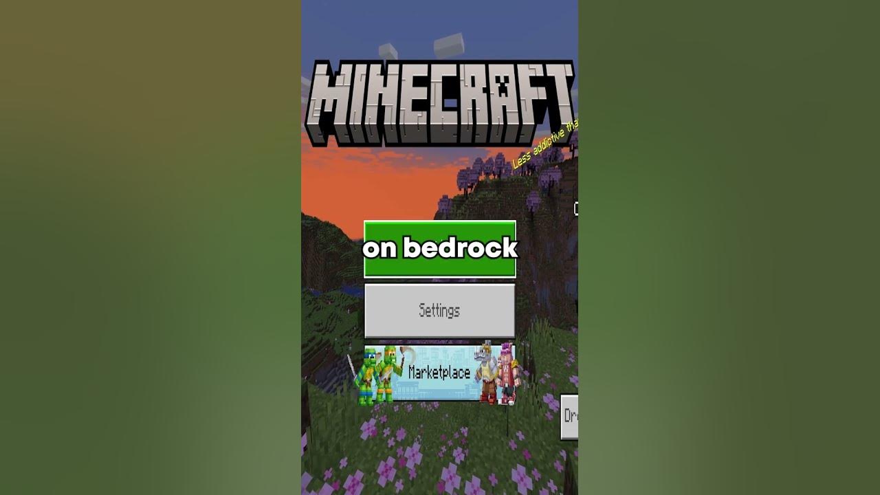 Have you Ever Wanted To Try an Earth SMP #minecraft - YouTube