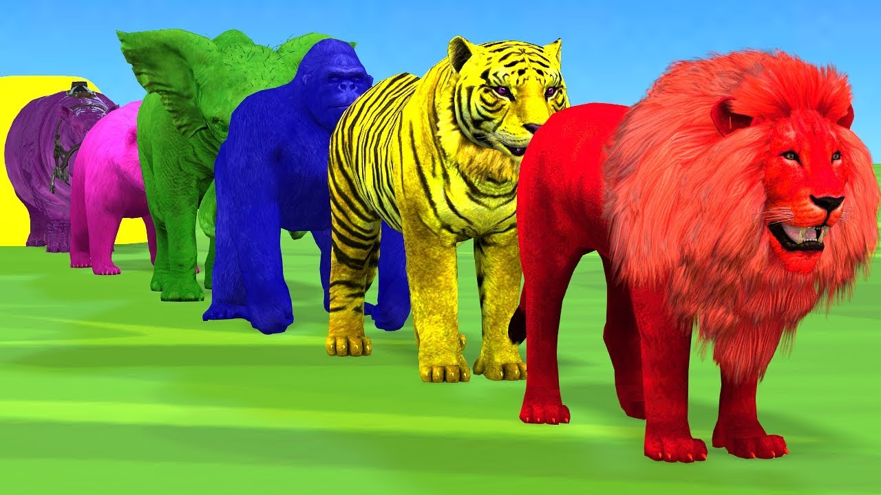 Long Slide Game With Elephant Gorilla Buffalo Hippopotamus Tiger - 3d ...