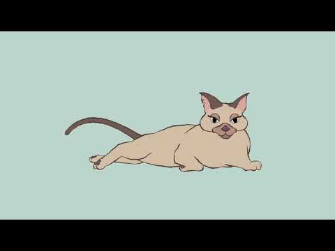 WAVE PRINCIPLE - TAIL CAT - Itziar Calderon