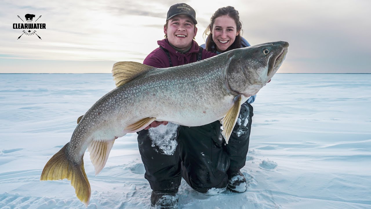 First Time Angler REELS IN A GIANT Laker! - Ice Fishing Clearwater ...
