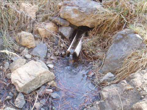 εμεις τωρα θα φυγουμε μια λεν απο την πρεβεζα τα πηρανε το προβα ...