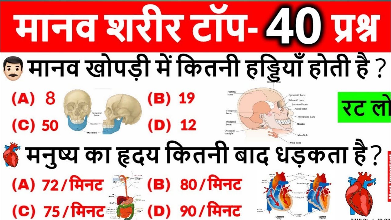 Human body gk questions and answers Part-2||मानव शरीर के टॉप प्रश्न ...