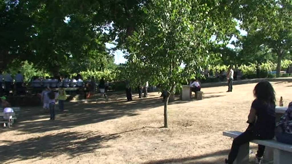 Formilo,Festa da S. do Carmo.video2 - YouTube
