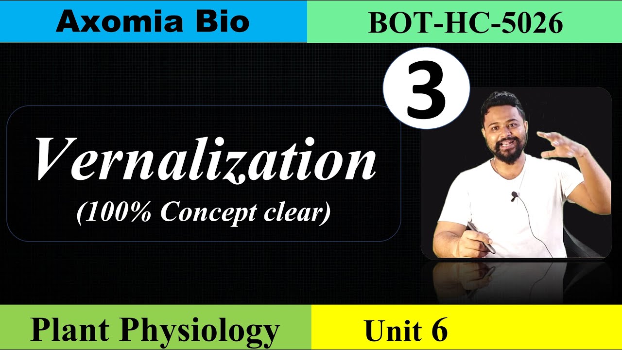 Vernalization|Vernalin|Flowering|Plant physiology|5th sem Botany|Dr ...