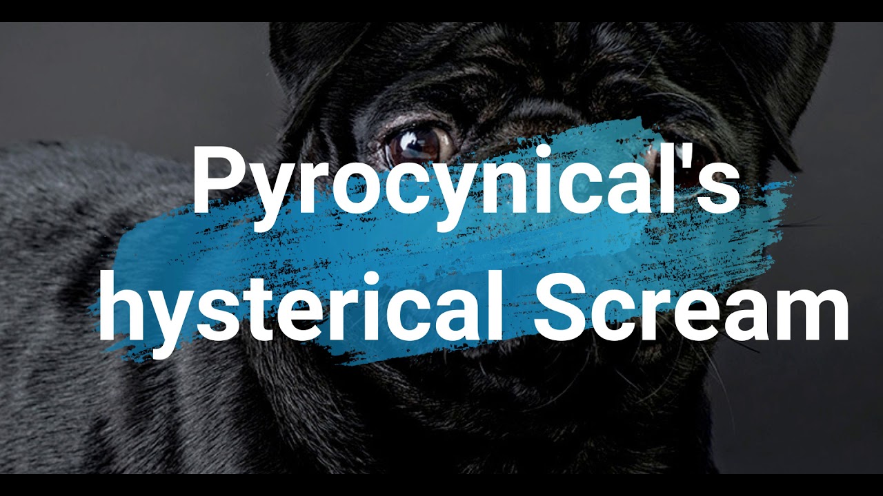 Pyrocynical's hysterical Scream - YouTube