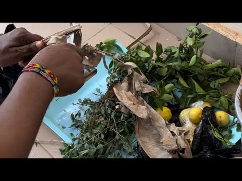 HOW TO MAKE AGBO ( HERBAL MEDICINE ) - YouTube