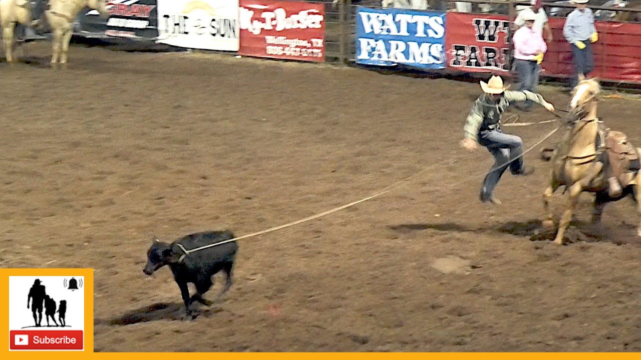 Tie-down Roping - 2023 Wellington Pro Rodeo | Friday - YouTube