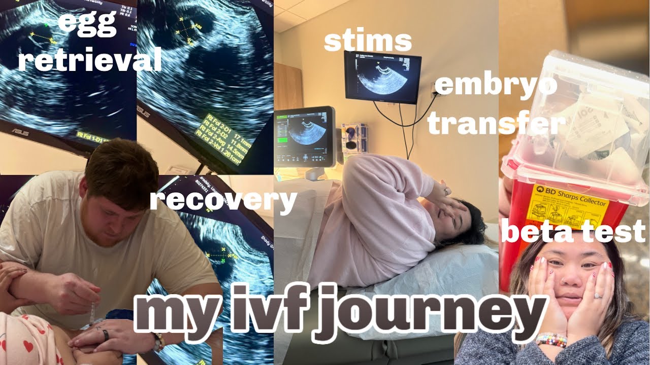 IVF JOURNEY🤍stims, egg retrieval, embryo transfer, beta test results ...