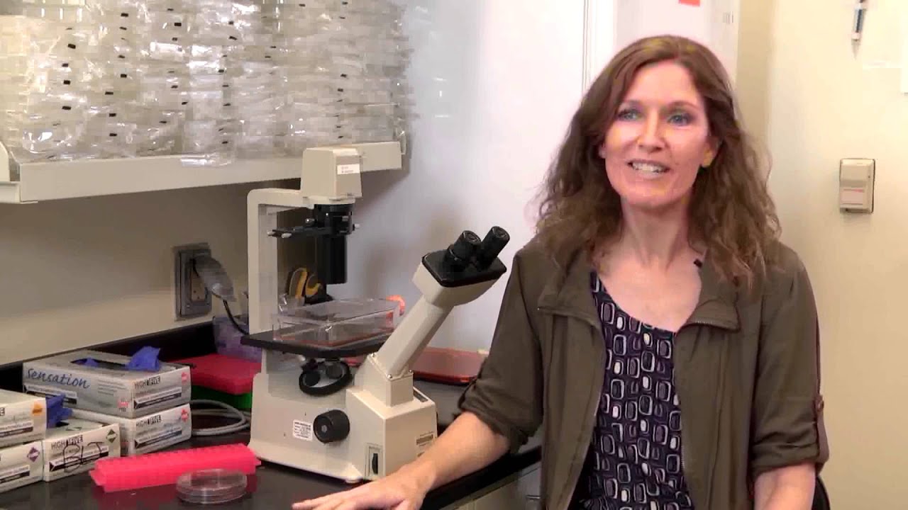 Professor Karen Denzler, PhD - YouTube