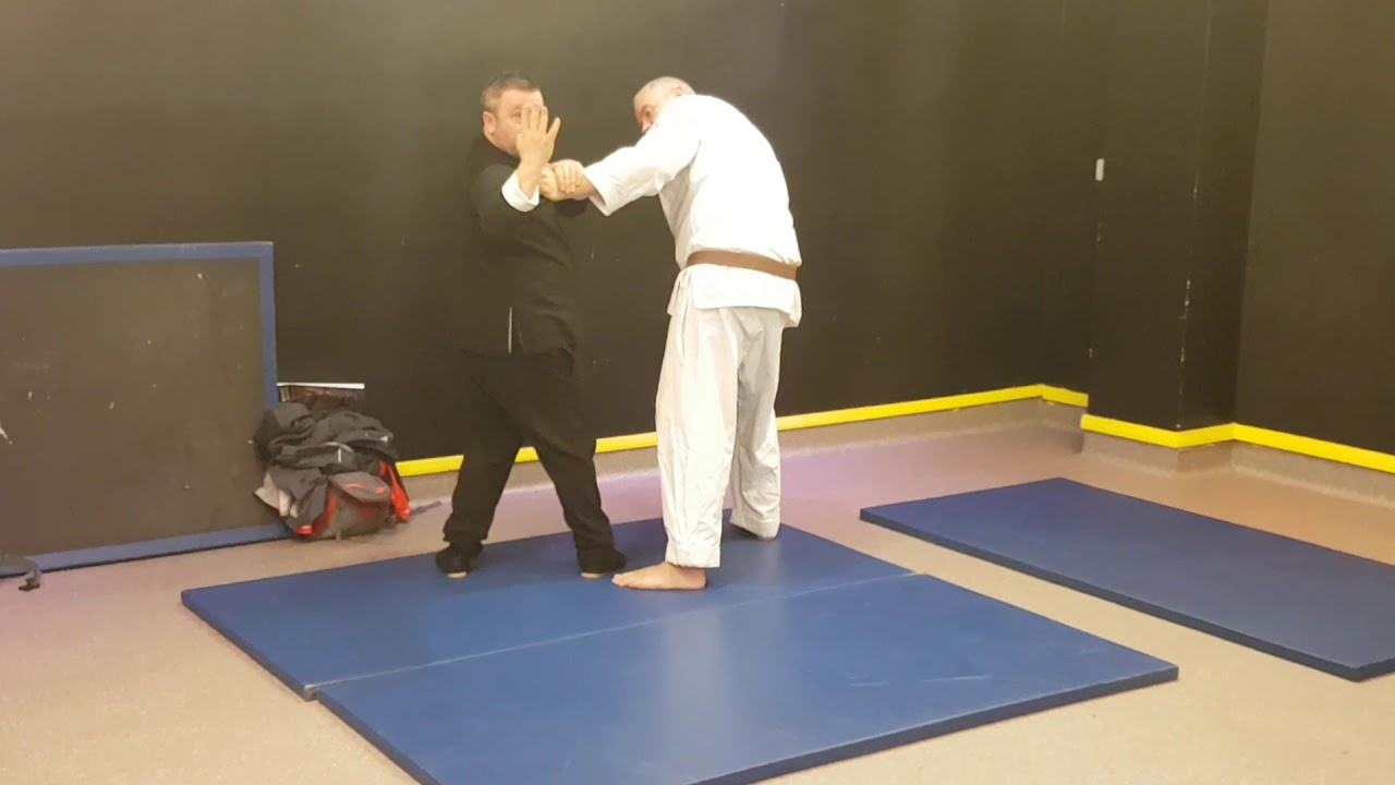 The six Ji Hands of the Bubishi - YouTube