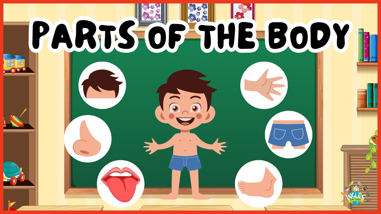 Parts of the Body - Aprendendo as partes do corpo em inglês - YouTube