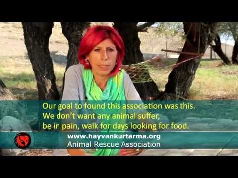 Hayvan Kurtarma Derneği Belgeseli - Animal Rescue Association Documentary